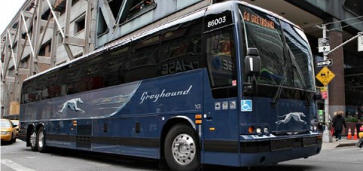 TOYOTA COASTER 2022 1.43 Mod - ATS Mod | American Truck Simulator Mod